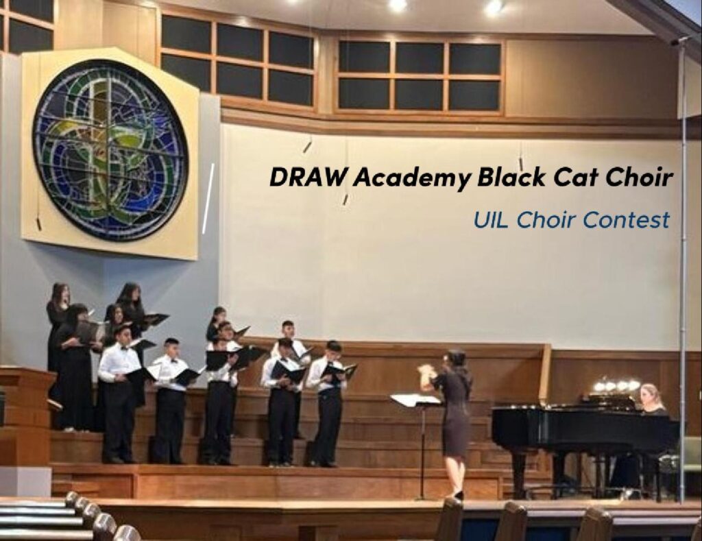 DRAW ACADEMY – DIVERSITY ROOT AND WINGS